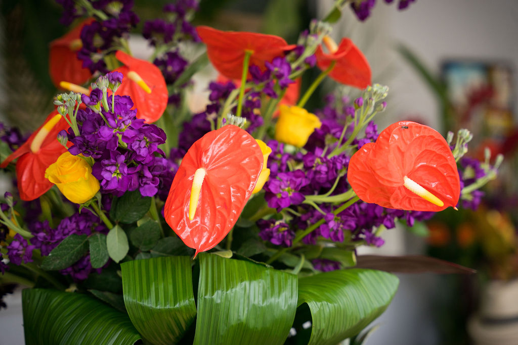 A Havana Nights 35th Birthday – Party with the Pou's